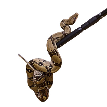 Adjustable steel hook for snakes, ReptiZoo
