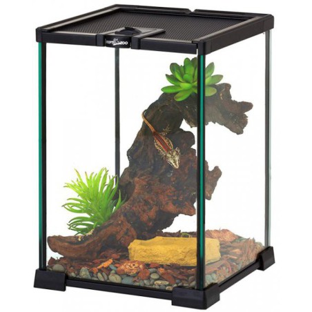 Mini Terrari in vetro Reptizoo per gechi, serpenti, insetti, sauri