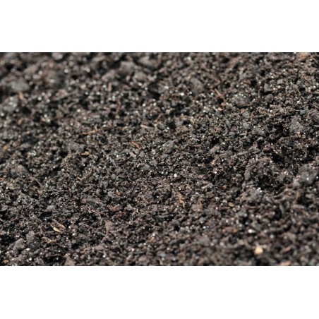 Substrate for breeding and egg-laying of giant beetles